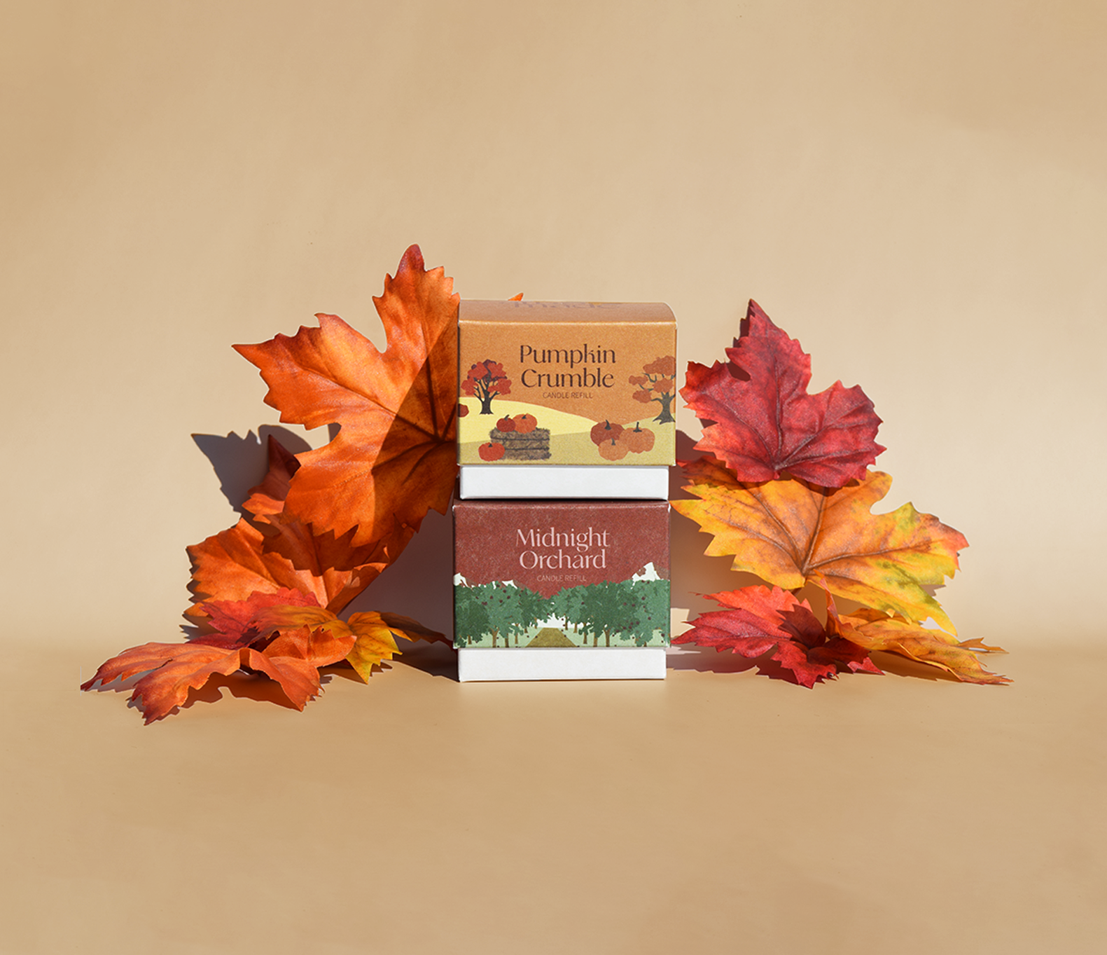 Fall Collection – Arbor Made