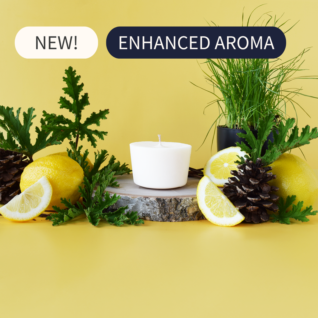 Arbor Made | Refillable & Eco-Friendly Candles