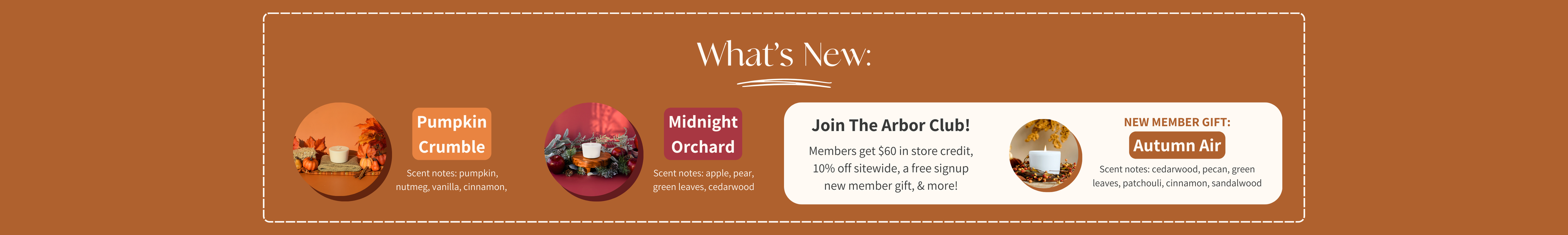 Fall Collection – Arbor Made